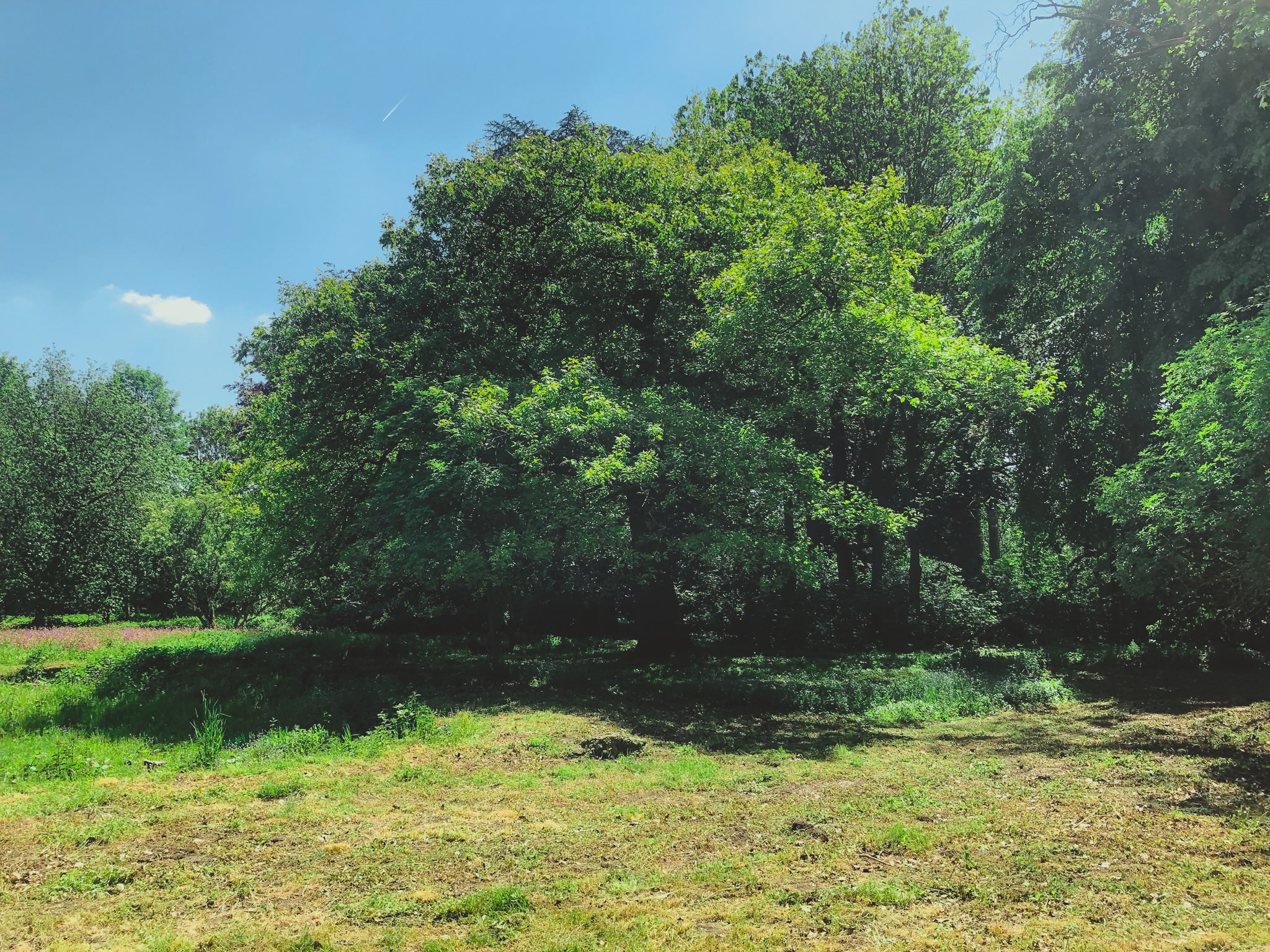 Kasteelpark Lembeek | Stad Halle